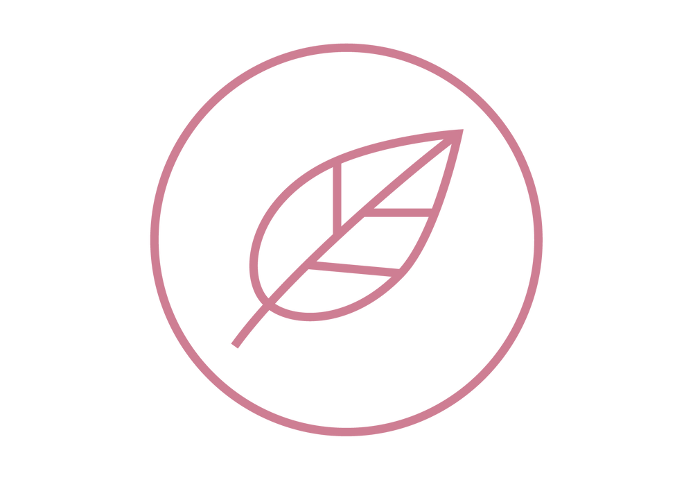 Lemon Rose - Creamy Sugar Scrub – Mad Sass Soap Co